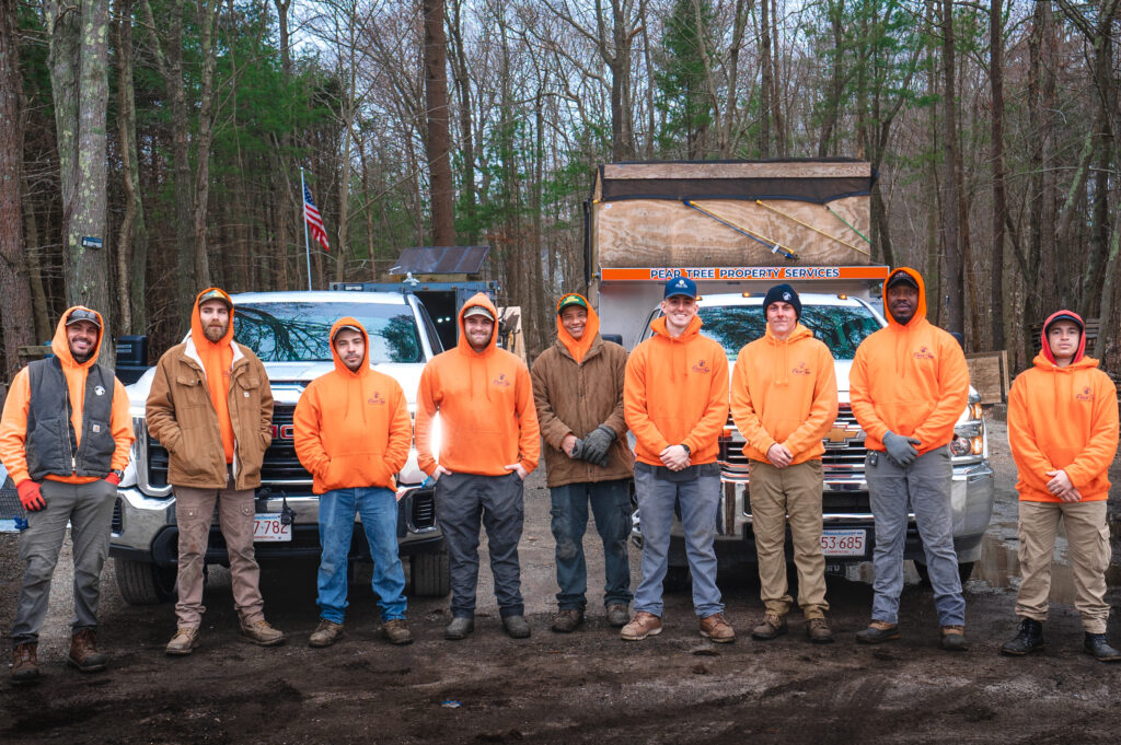 About Us - Pear Tree Property Services